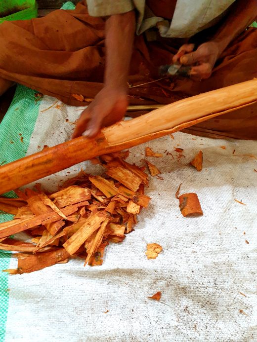 La Cannelle – Sri Lanka – Nose On The Road